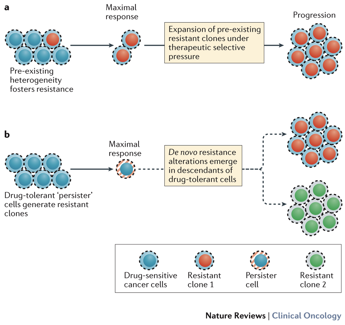 Tumour Heterogeneity and Resistance to Cancer Therapies