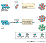 Tumour Heterogeneity and Resistance to Cancer Therapies
